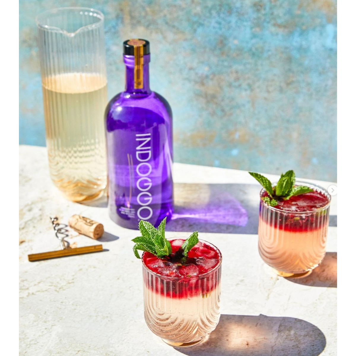 Indoggo Gin – Culturebox